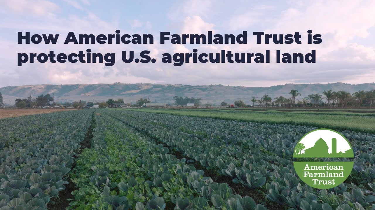 How American Farmland Trust is protecting U.S. agricultural land - YouTube