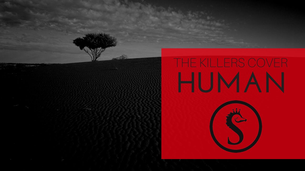 "Human" - The Killers - Acoustic Cover / Sognatore - YouTube