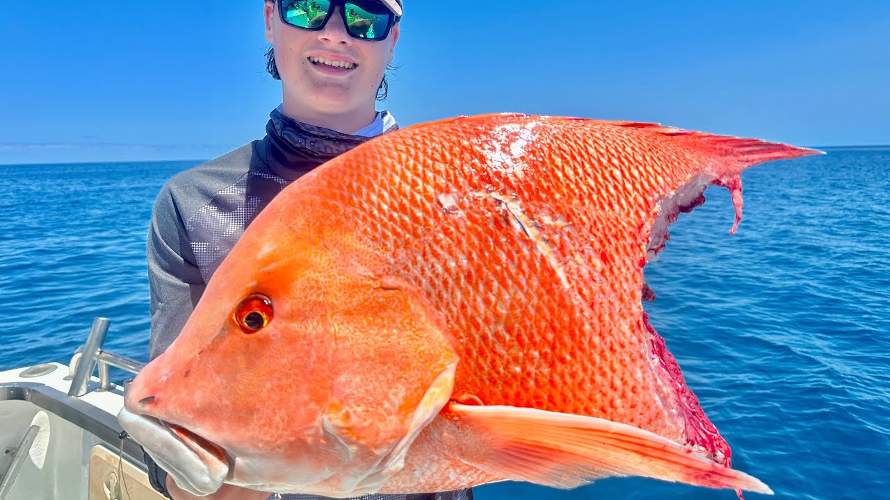 We got TAXED on a GIANT!! (Bottom Fishing the GBR) - YouTube