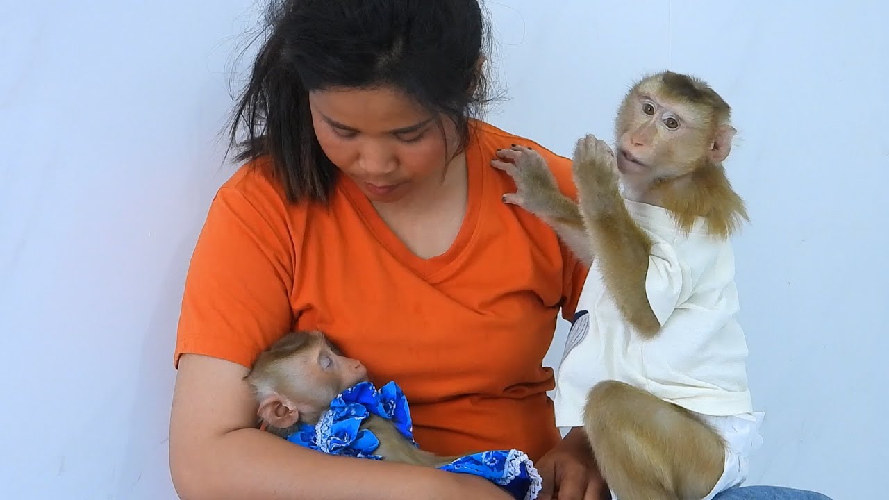 Little PiPi Taking Nap After Grooming Aunt - YouTube