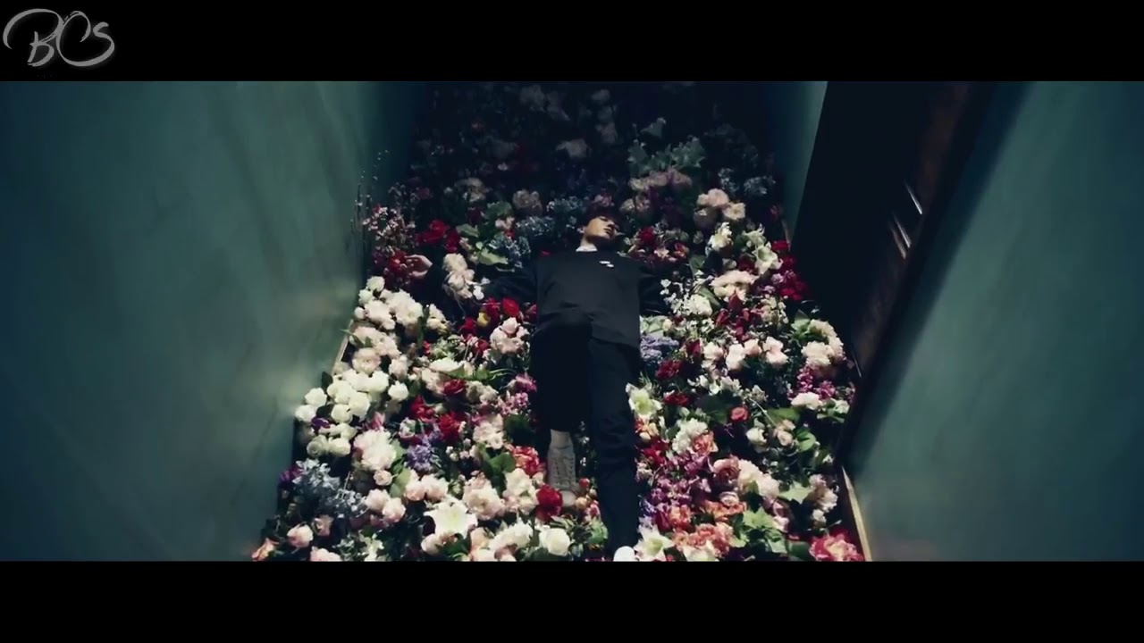 BTS Dead Leaves MV - YouTube