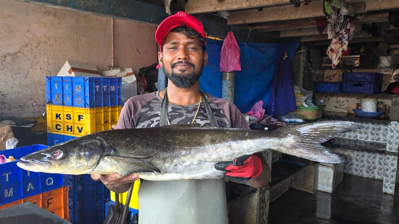 Mangaluru 🔥 melugu fish cutting videos #mangalore #fishingvideo # ...