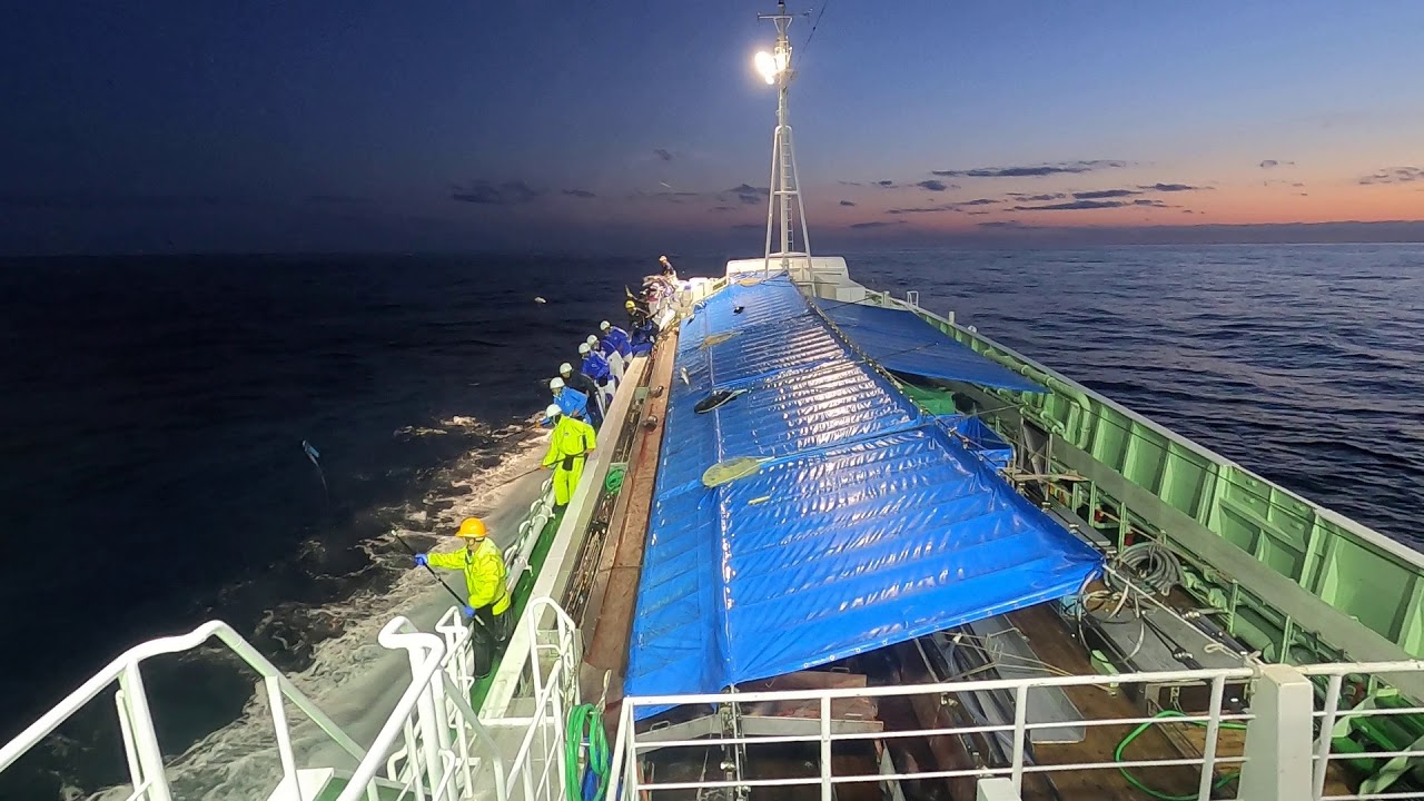 Mancing Mania Versi Jepang "Kapal Pole and Line 11 Asahi Maru" Skip ...