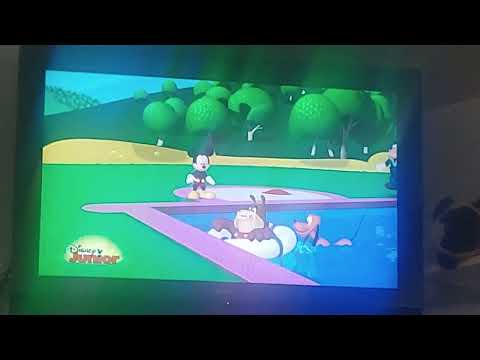 Pluto's Best Pluto and Butch crossed the 🏁🏁🏁🏁🏁🏁🏁🏁 finish line and won swimming 🏊🏊‍♂️🏊‍♀️