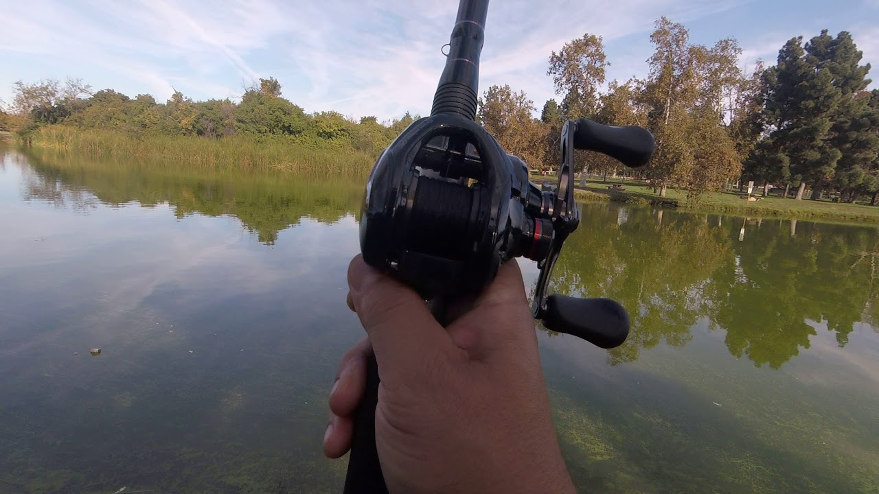 Scorpion DC - YouTube