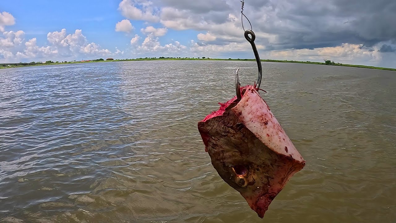 Dropping BIG BAITS In DEEP Brackish Water! (the most resilient fish ...