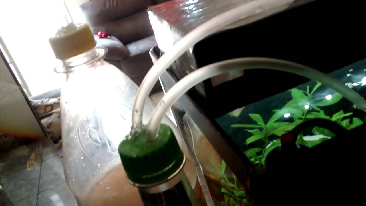 Co2 caseiro - YouTube