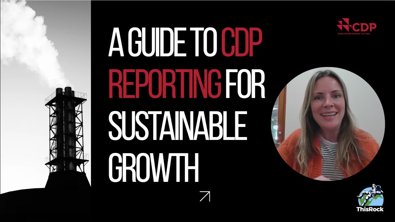 A Guide to CDP Reporting for Sustainable Growth: Getting Your First ...