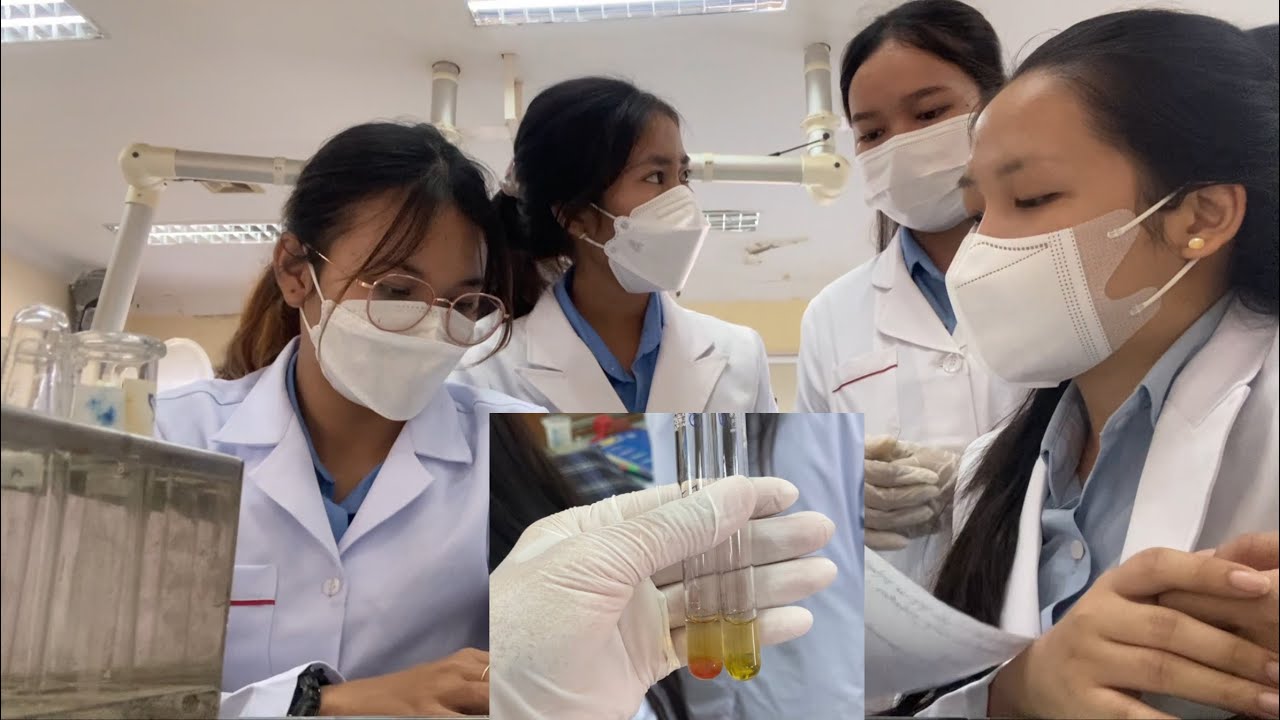 Hospital internship + In lab + In class (part 3) - YouTube