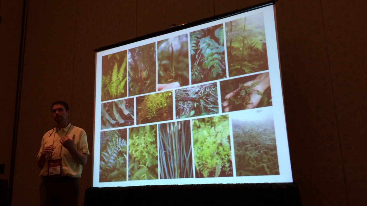 Travis Marsico: Plant species richness and community composition along ...