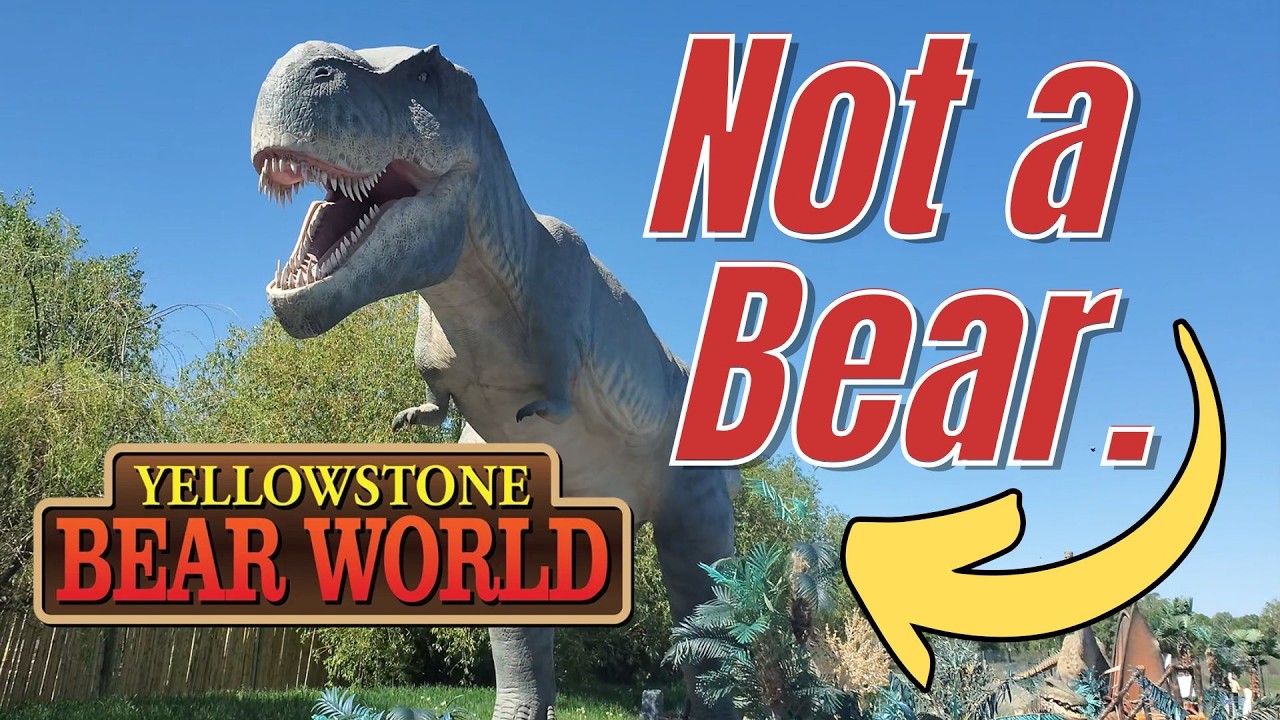 Yellowstone Bear World: What You Need to Know | Tour and Review ...