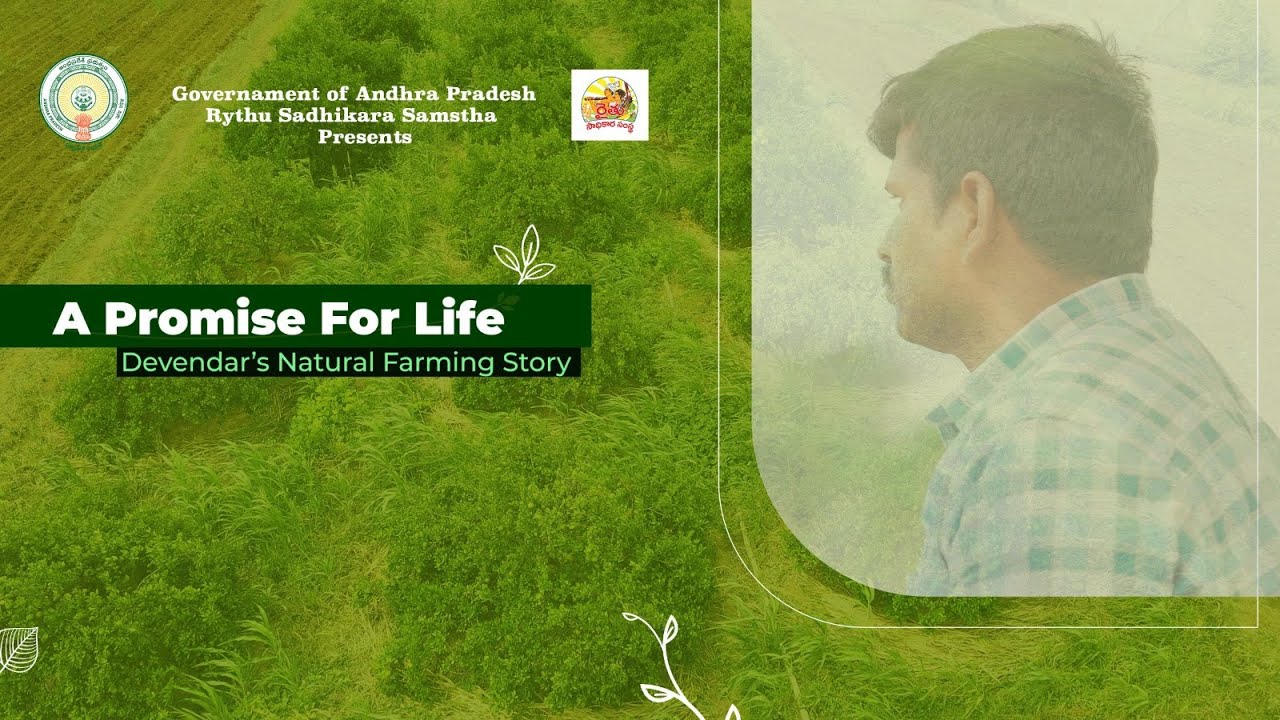 A Promise for Life - Devendar's Natural Farming Story I APCNF I ...