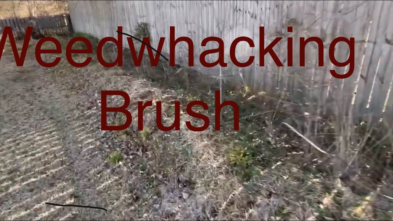 Cutting undergrowth down with echo, husqvarna, and stihl tools. - YouTube
