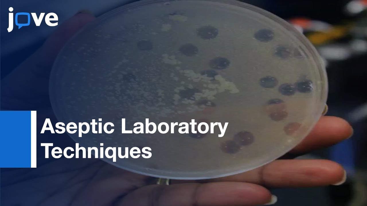 Aseptic Laboratory Techniques: Plating Methods l Protocol Preview - YouTube