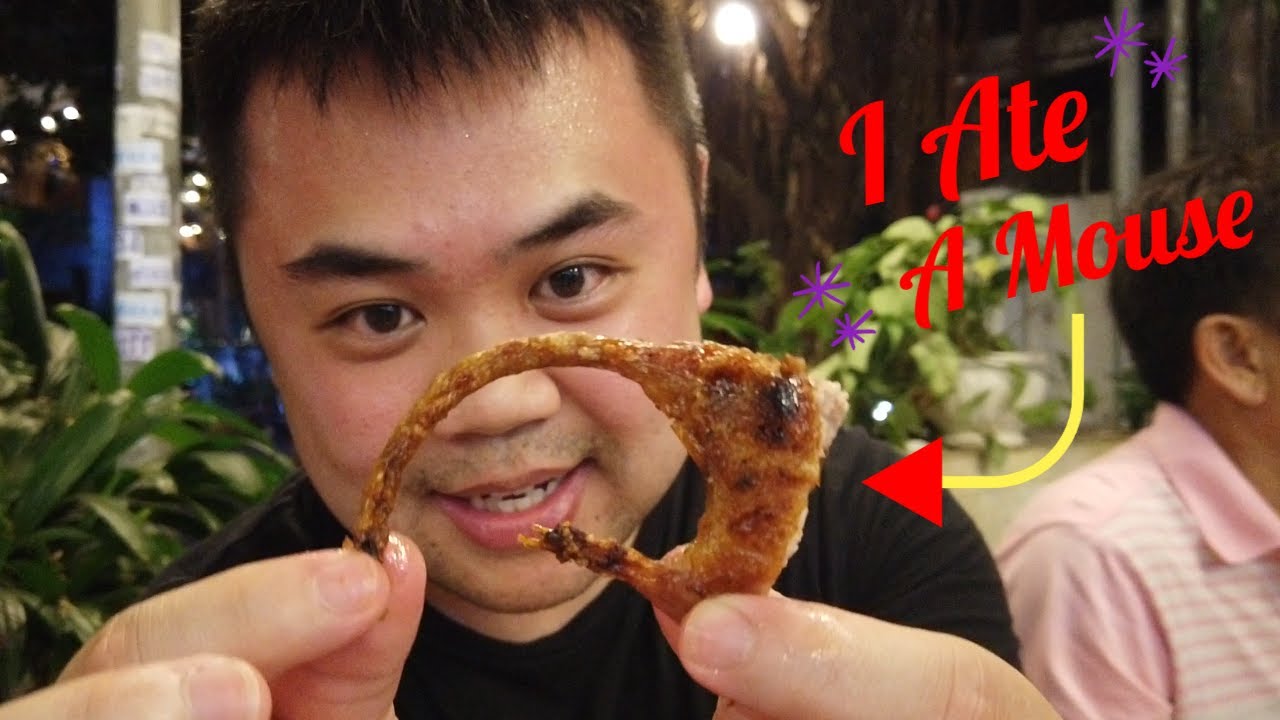 Vietnam Vacation Pt. 4 | I Ate a Mouse + Last Day In Vietnam - YouTube