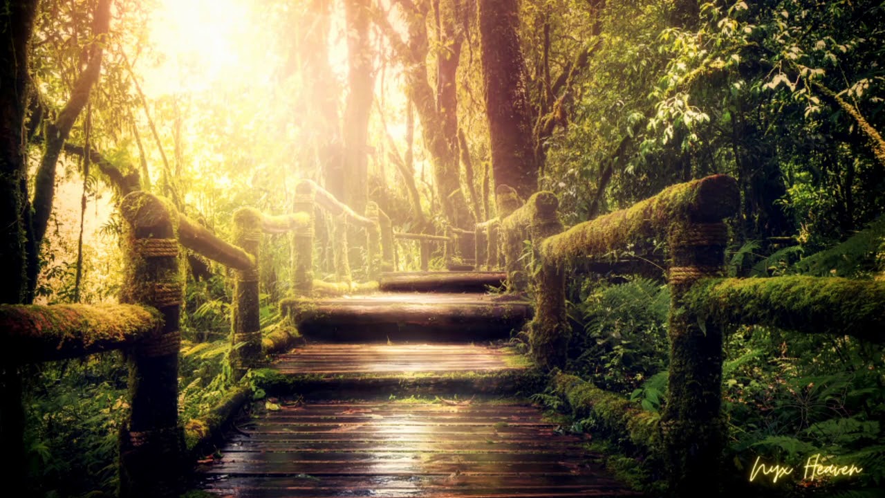 Rainforest Sounds [1 Hour] Relaxing - Calming - Studying - YouTube