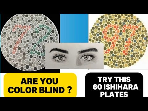 60 ISHIHARA PLATES To be prepared for South Korea ISHIHARA EYETEST ...