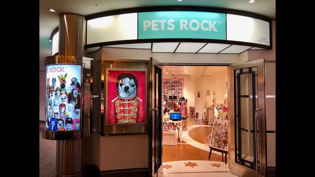Pets Rock Store in Toyko Japan - YouTube