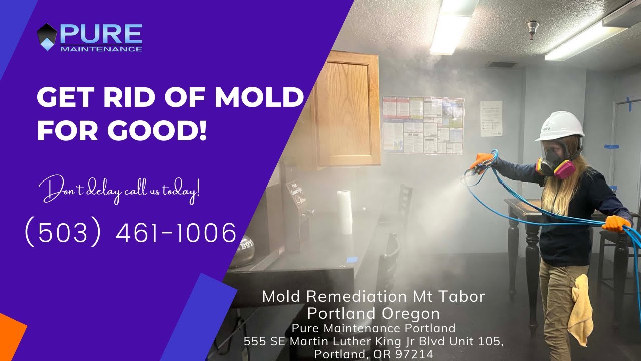 Mold Remediation Mt Tabor Portland Oregon - Pure Maintenance Portland ...