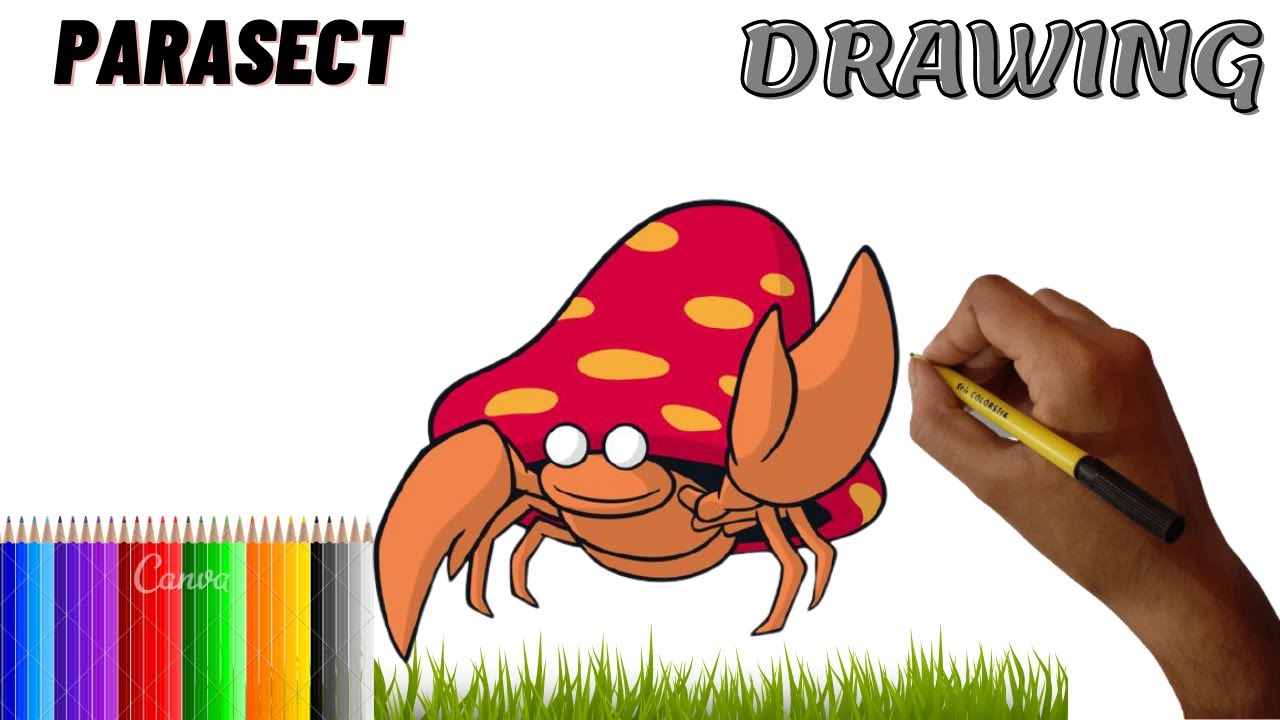 How to draw parasect Pokemon - YouTube