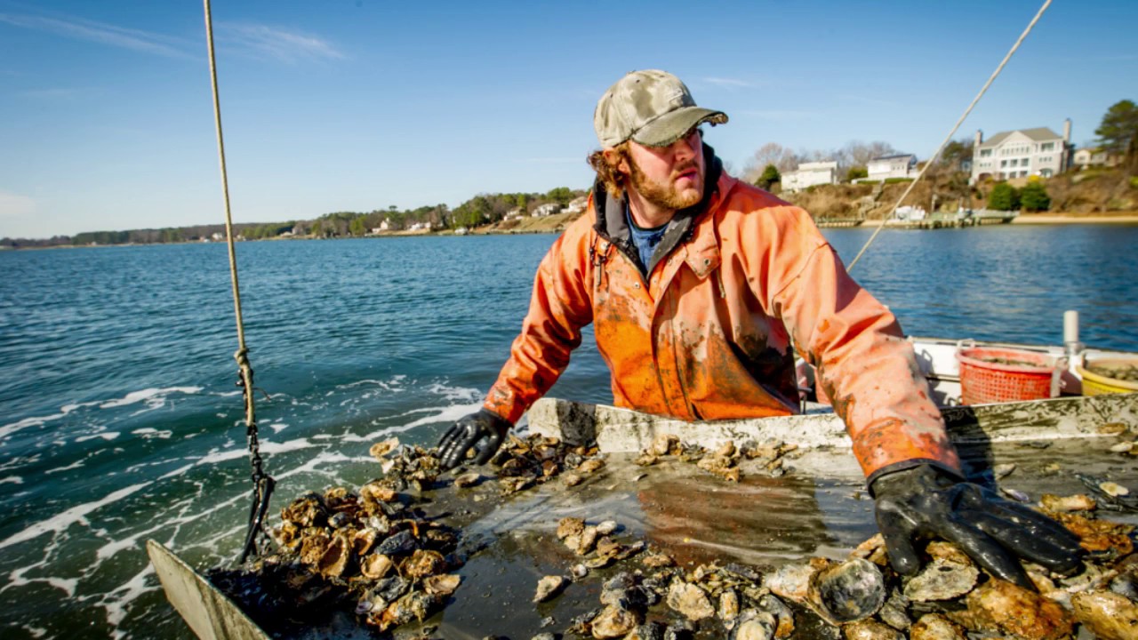 Oyster Patent tonging - YouTube