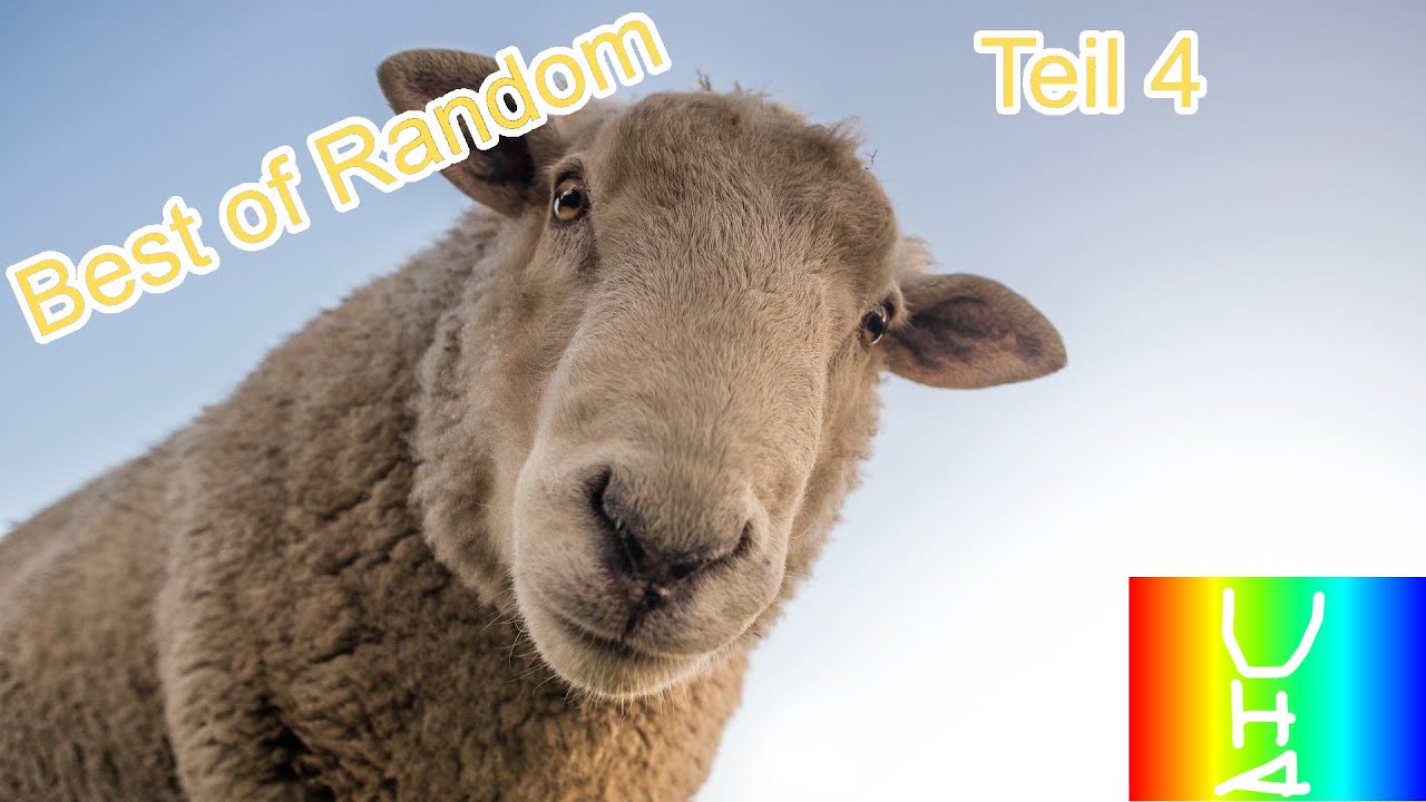 Best of random Stuff #4 - YouTube