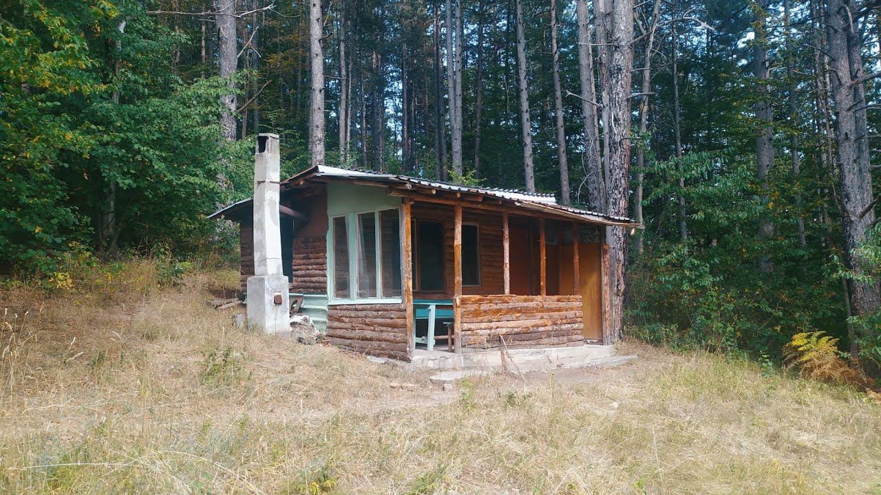 Found a Hidden Log Cabin in the Wilderness - YouTube
