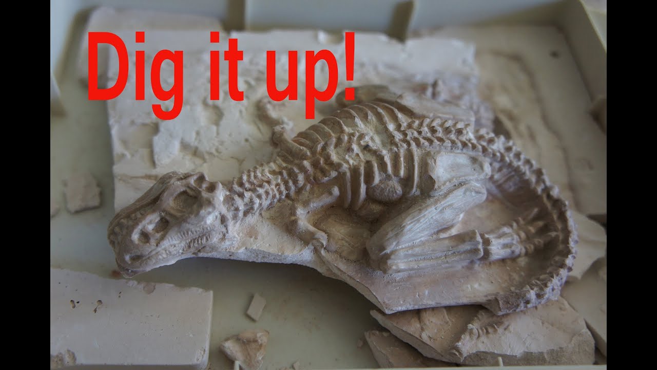 Dig it up! ,Dinosaurus,Fossil,ของเล่นชุดขุดฟอสซิลไดโนเสาร์ - YouTube