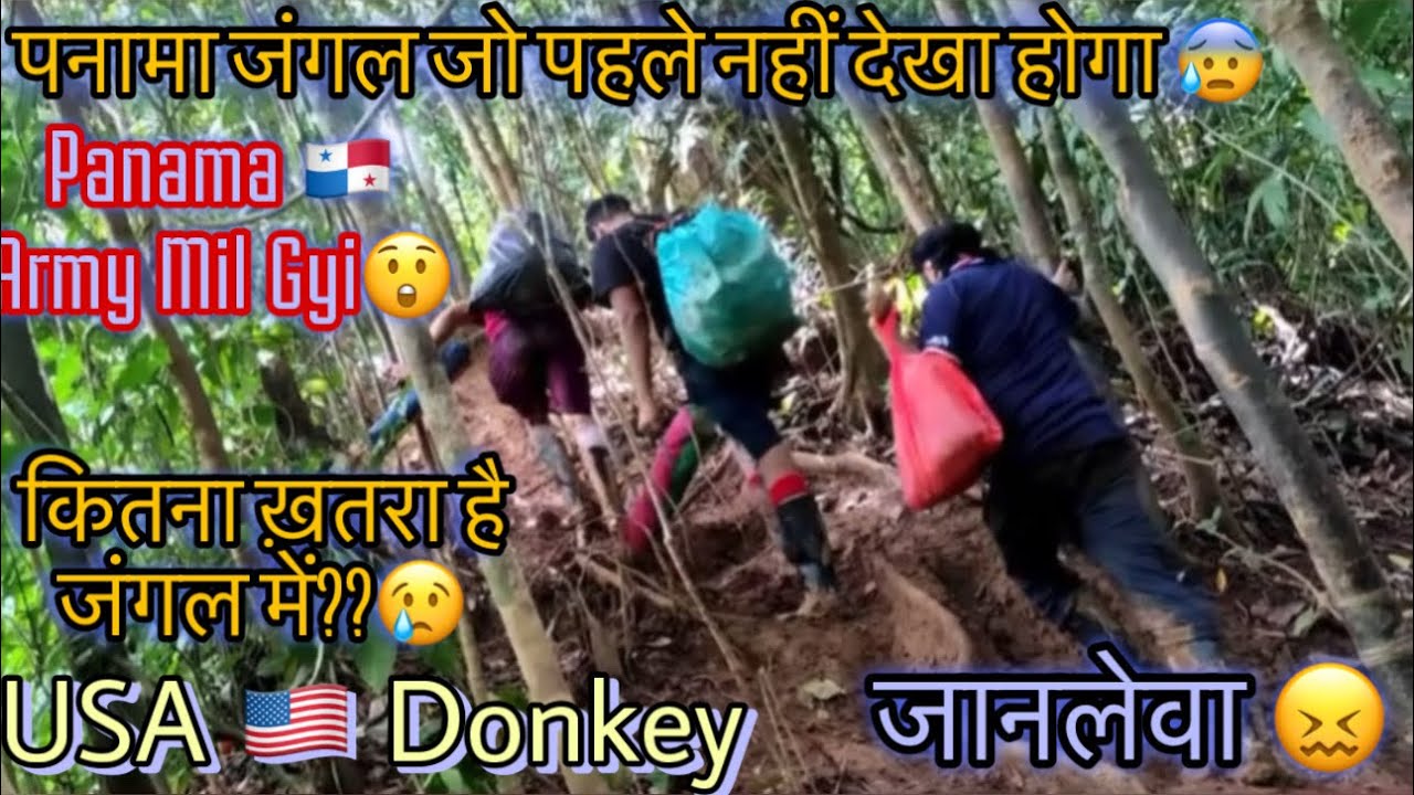 USA 🇺🇸Donkey Panama 🇵🇦 Jungle | Full Details Video | बहुत ख़ौफ़नाक ...