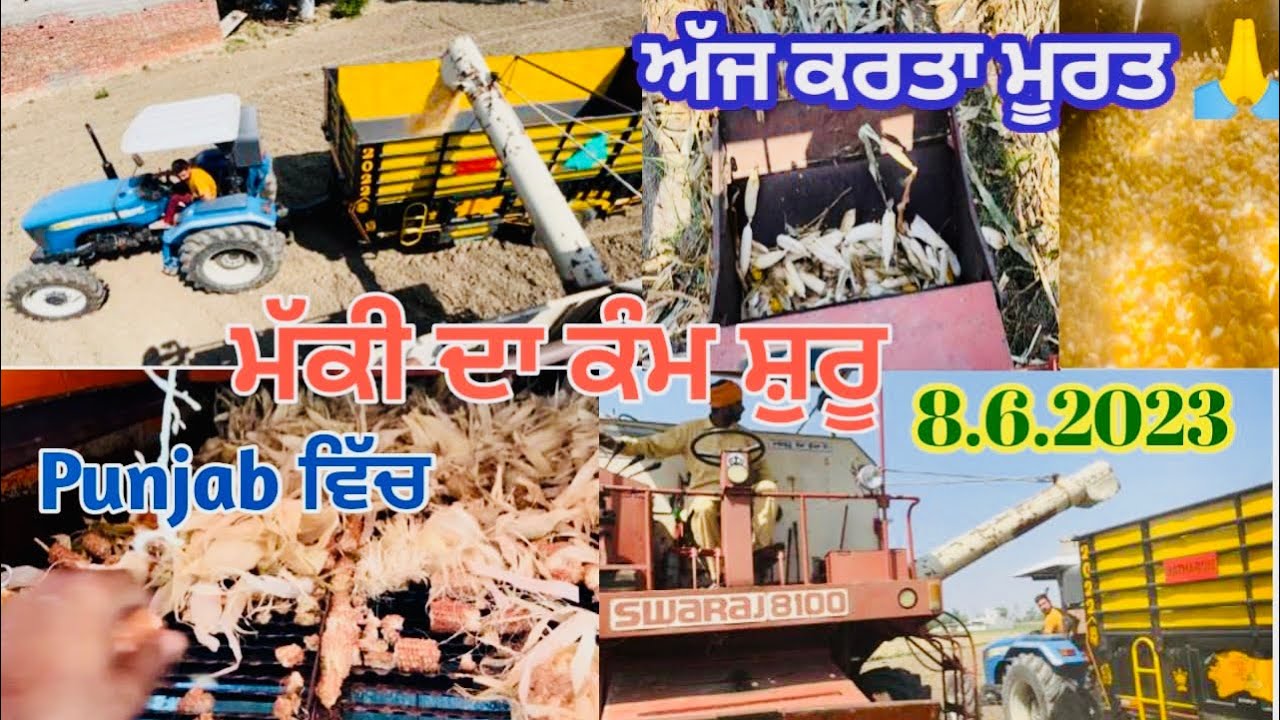 Maki-Corn Combine Harvester Simple in India | vlog | Corn Dropping ...