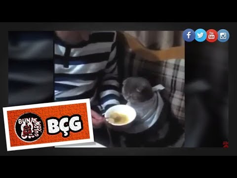 Kaşık Kaşık Çorba İçen Kedi - Buna Çook Güldüm!