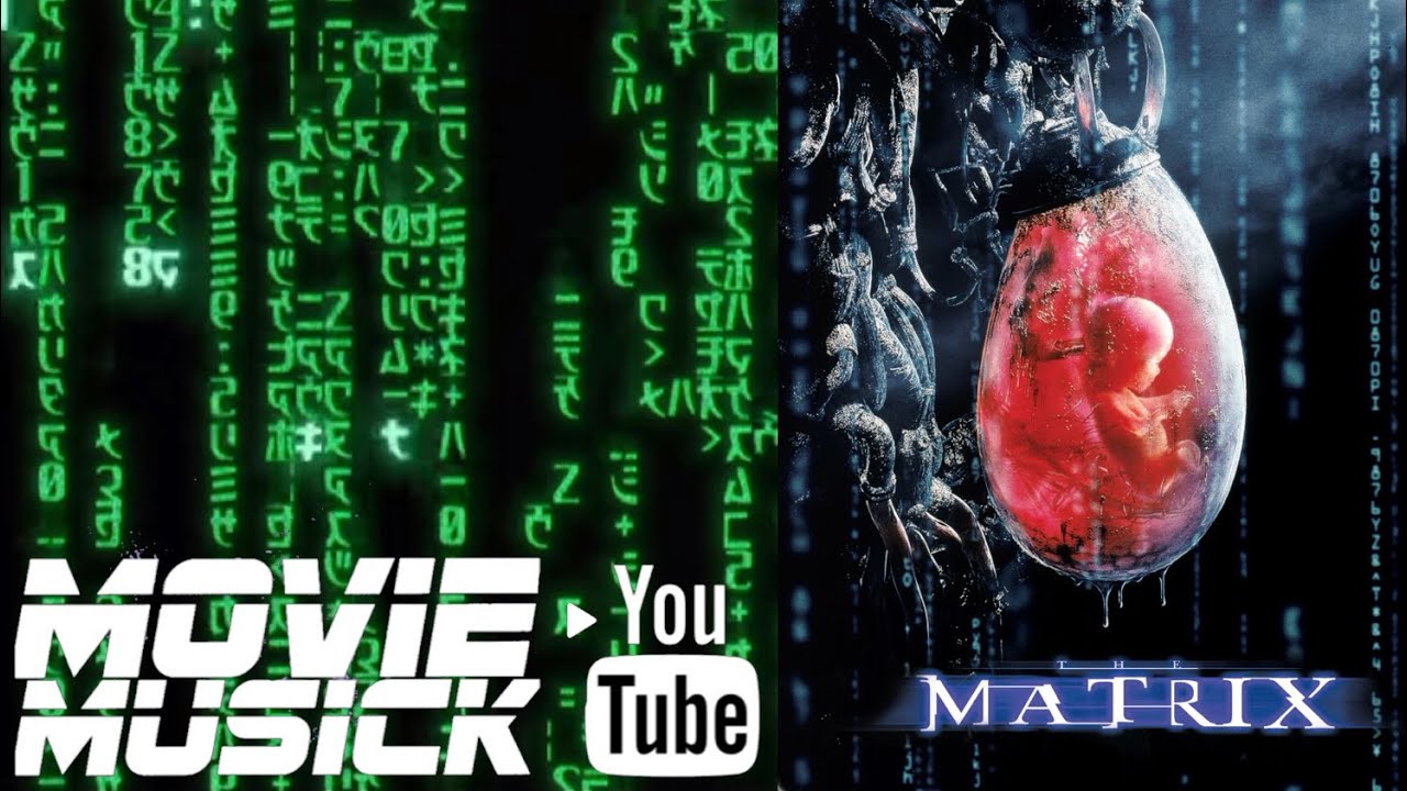 Matrix - Reflexión - YouTube