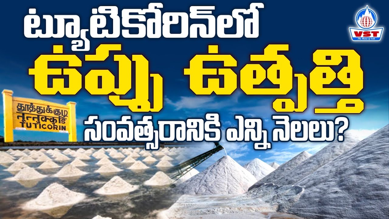How many months of salt production available to a year at tuticorin ...