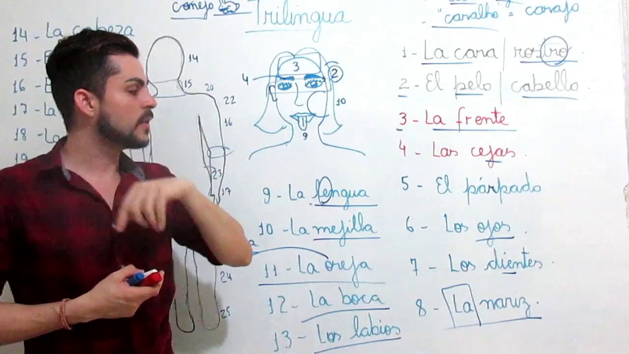 Las partes del cuerpo/ As partes do corpo.- em Português/ En Portugués ...