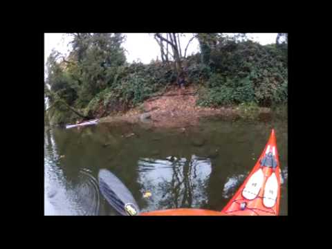 Mill River Lake, kayaking in Estacada, Oregon - YouTube