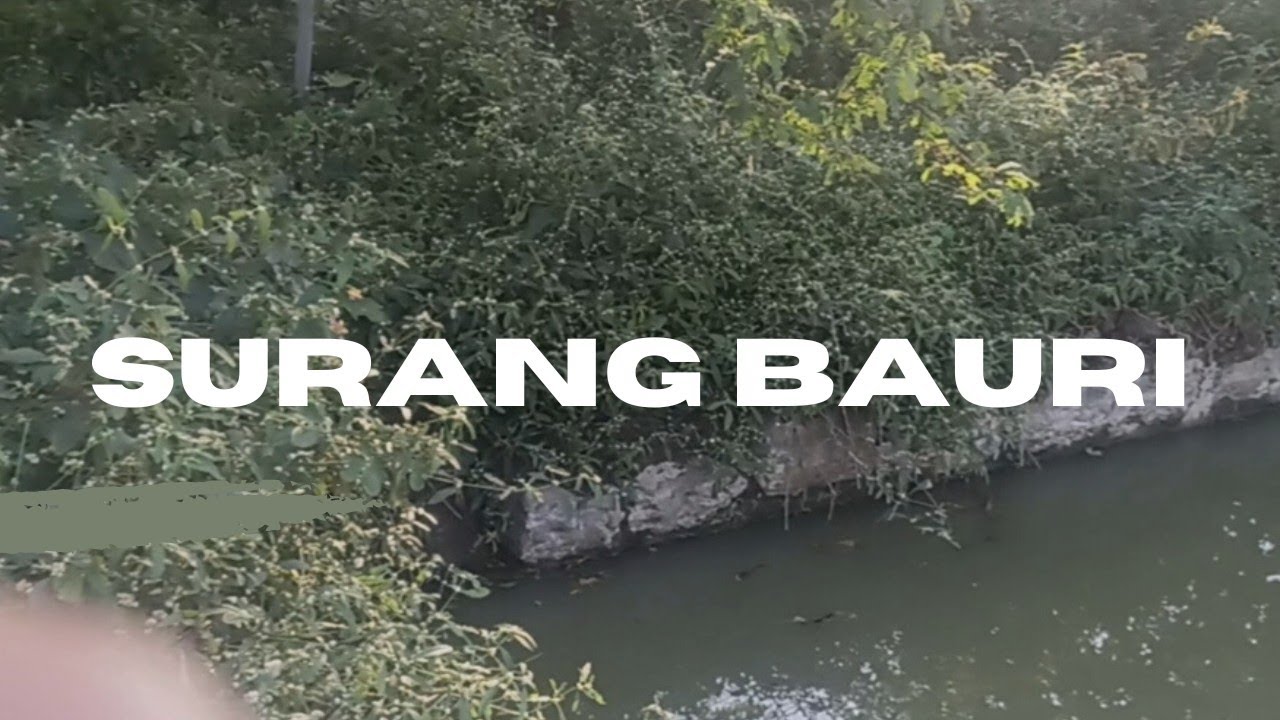 Surang Bauri Bijapur Karnataka - YouTube