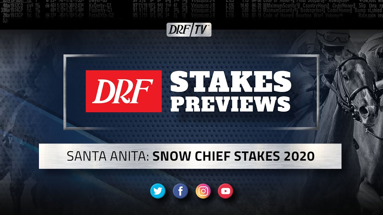Snow Chief Stakes 2020 Preview - YouTube