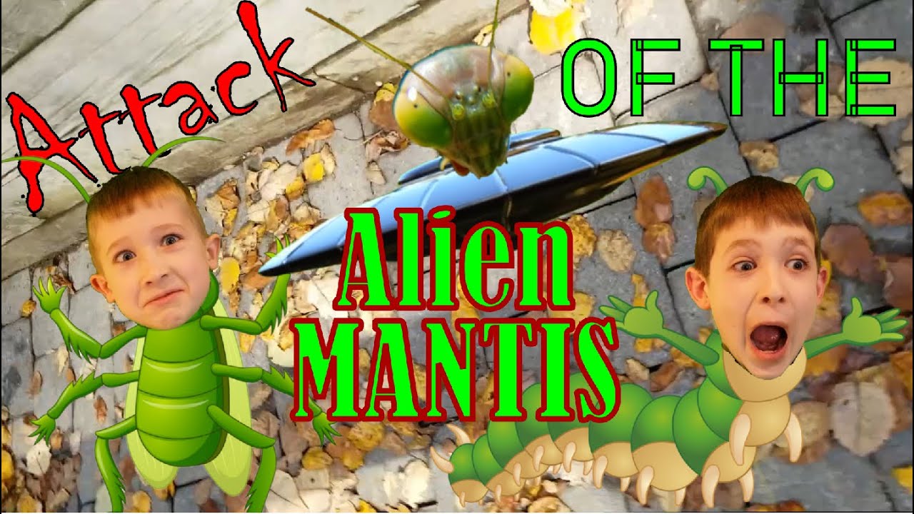 Close Encounter with a Giant Alien Mantis - YouTube