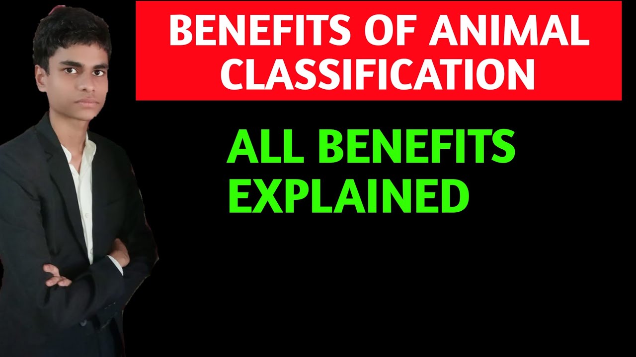 Benefits of animal classification | All benefits explained | - YouTube