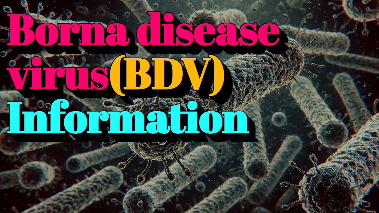 Borna disease virus(BDV) (🔬Other infectious diseases) - YouTube