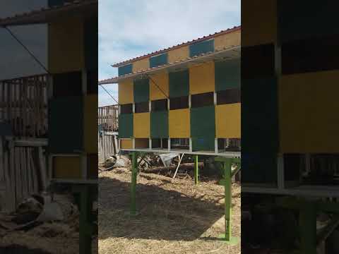 Pavilion apicol 3.5 t - YouTube