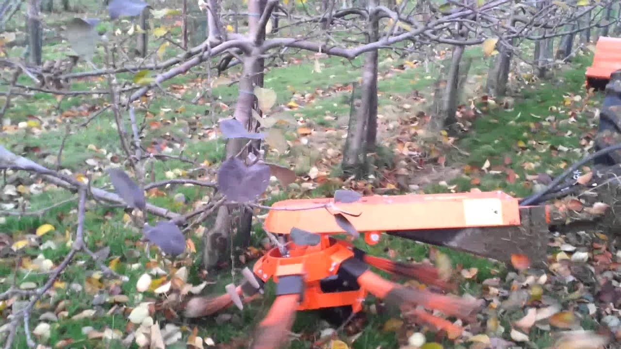 Orchard sweeper. Perfect brush + Perfeck mulcher - YouTube