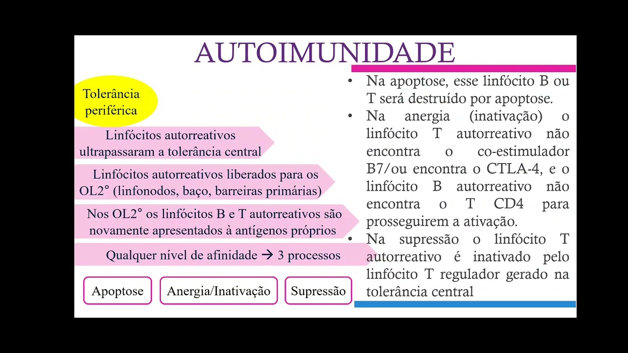 Patologia - Autoimunidade e Transplantes (parte 2) - YouTube