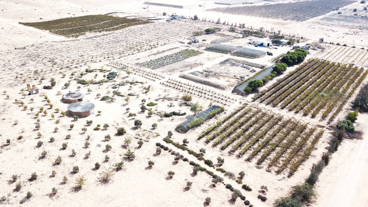 Medicinal Garden in the Israeli Desert - with Golan Cohen - YouTube