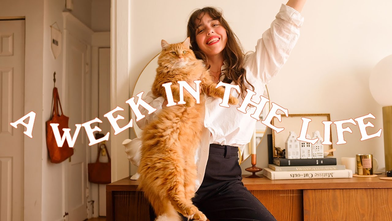 A WEEK IN THE LIFE | Content creation, Try-on haul, Friends and more ...