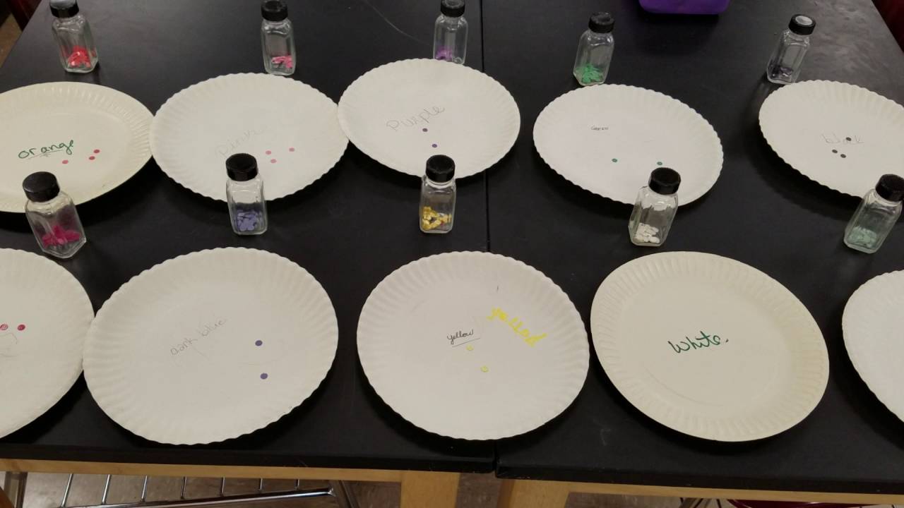 Natural selection lab part 2 - YouTube