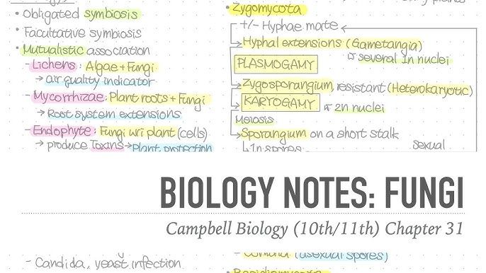Symbiosis Chart Biology