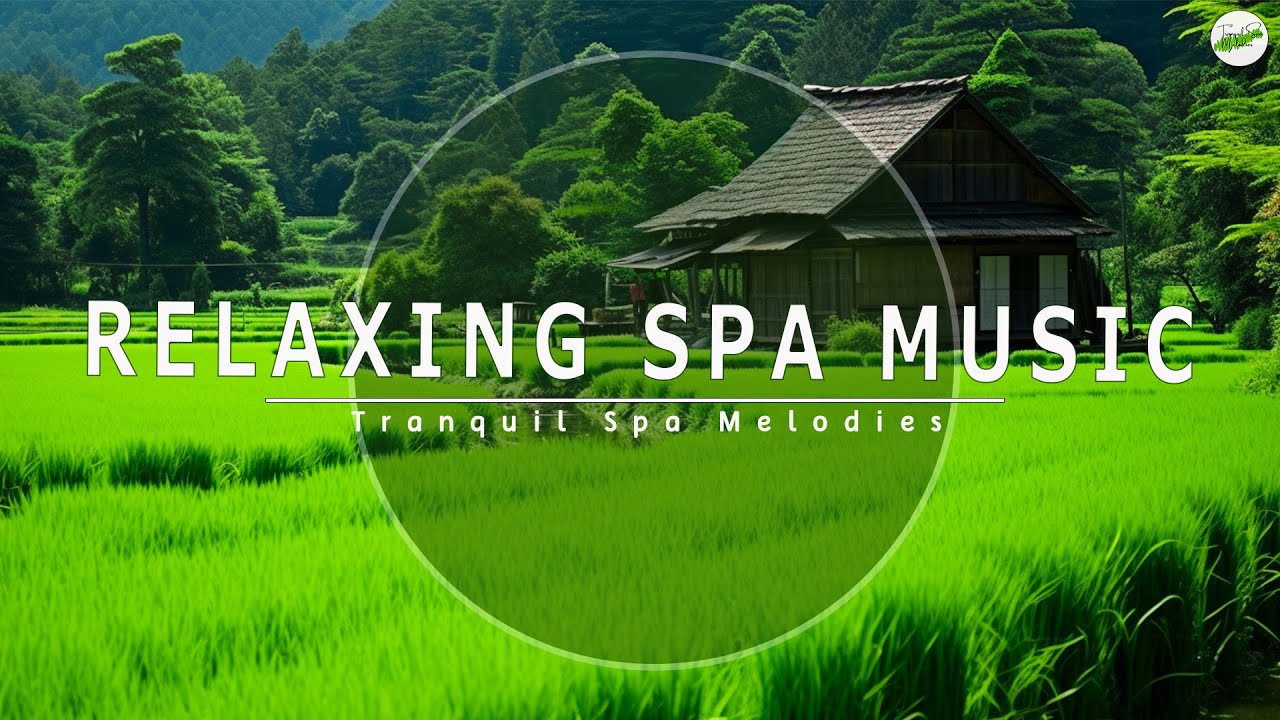 Calming Piano Sounds & Relaxing Music - Stress Relief, Spa Ambience ...