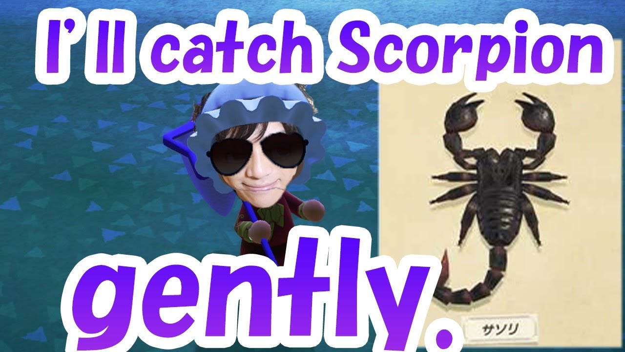 【ACNH】I'll catch scorpion gently - YouTube