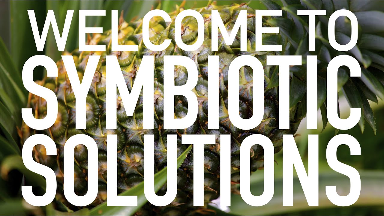 Welcome to Symbiotic Solutions! - YouTube
